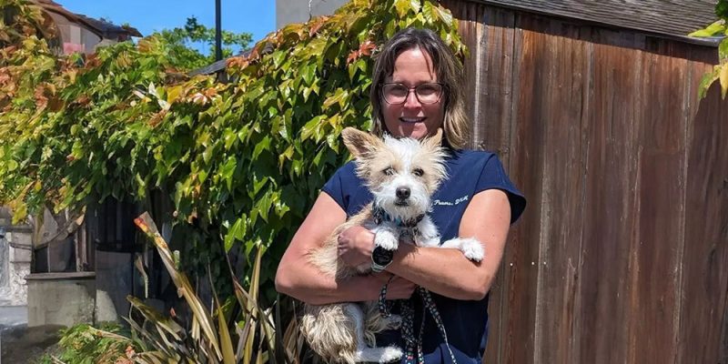 Team - Veterinarian in Petaluma - Adobe Animal Hospital